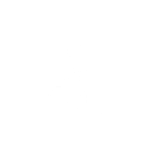 Our Unique RISC Test – Lifespan Diabetes Clinics
